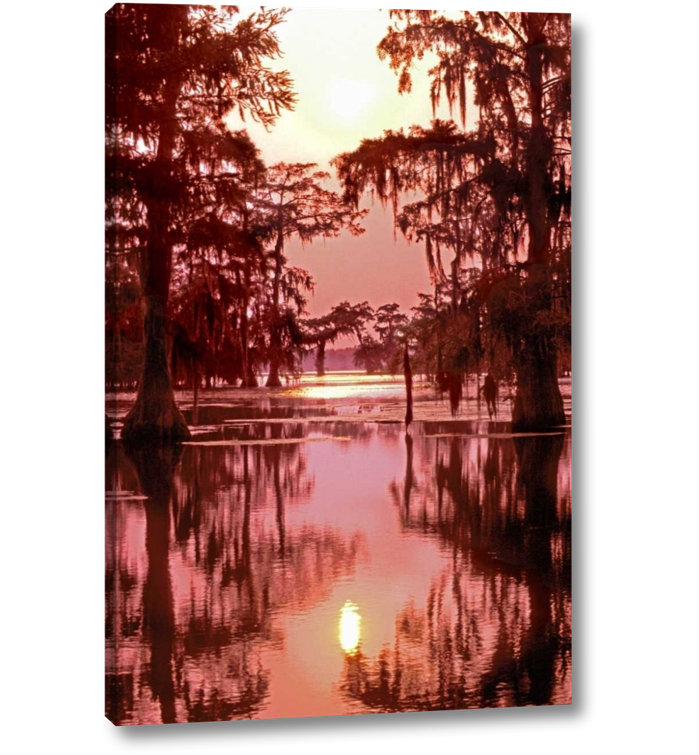 Louisiana Bayou Sunset